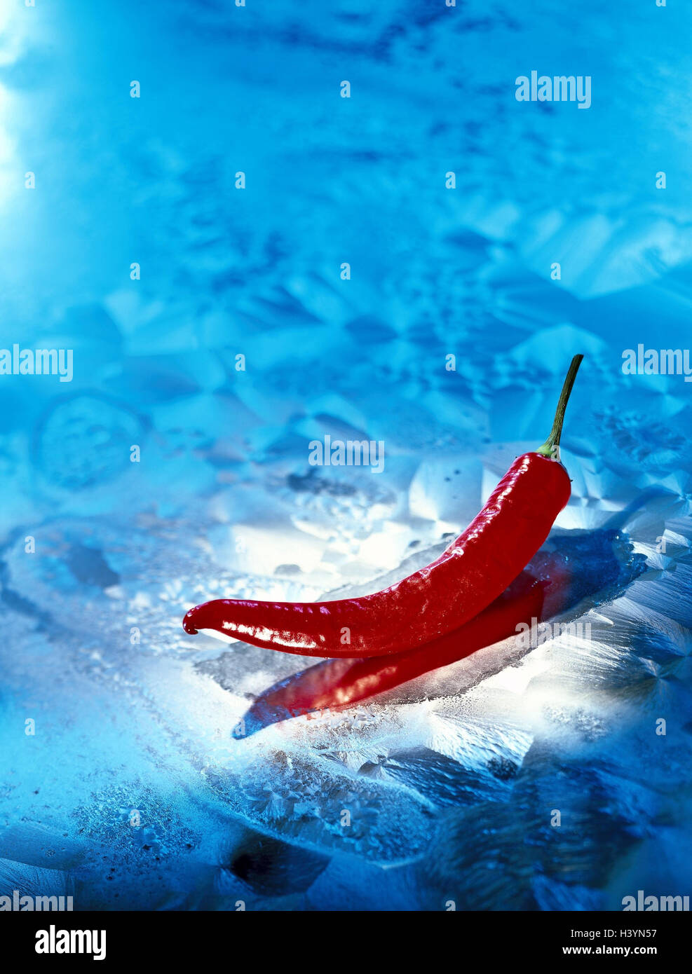Chilli, subsoil, freezes over, icon, contrast, difference, hotly ...