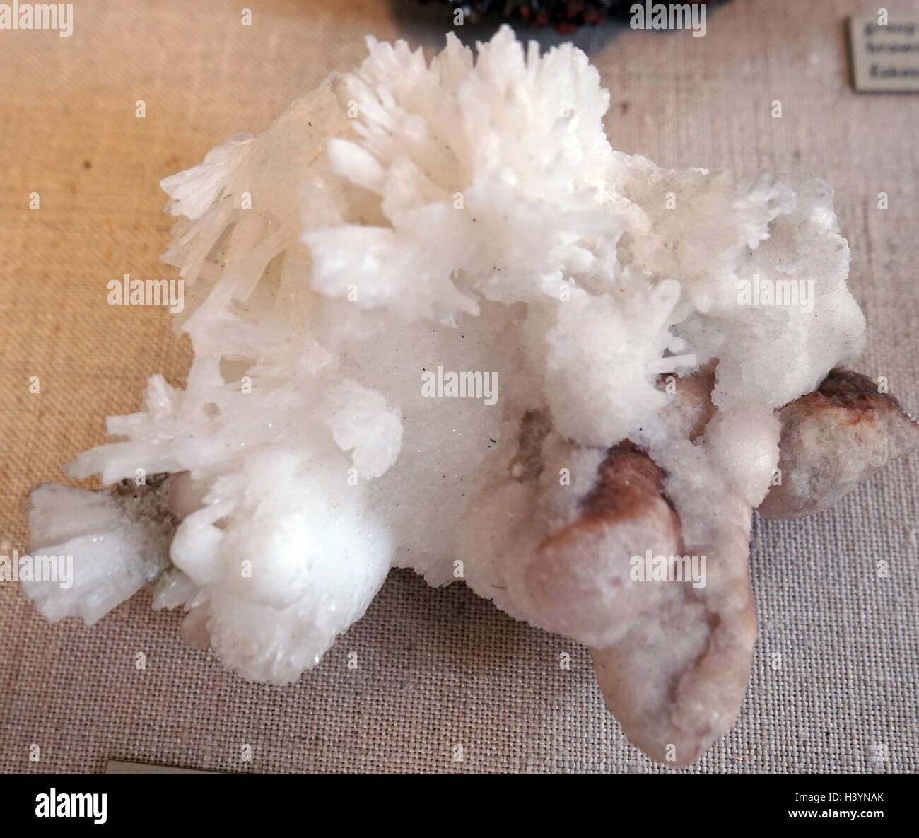 Sample of spiky crystals on botryoidal mass. Dated 21st Century Stock ...