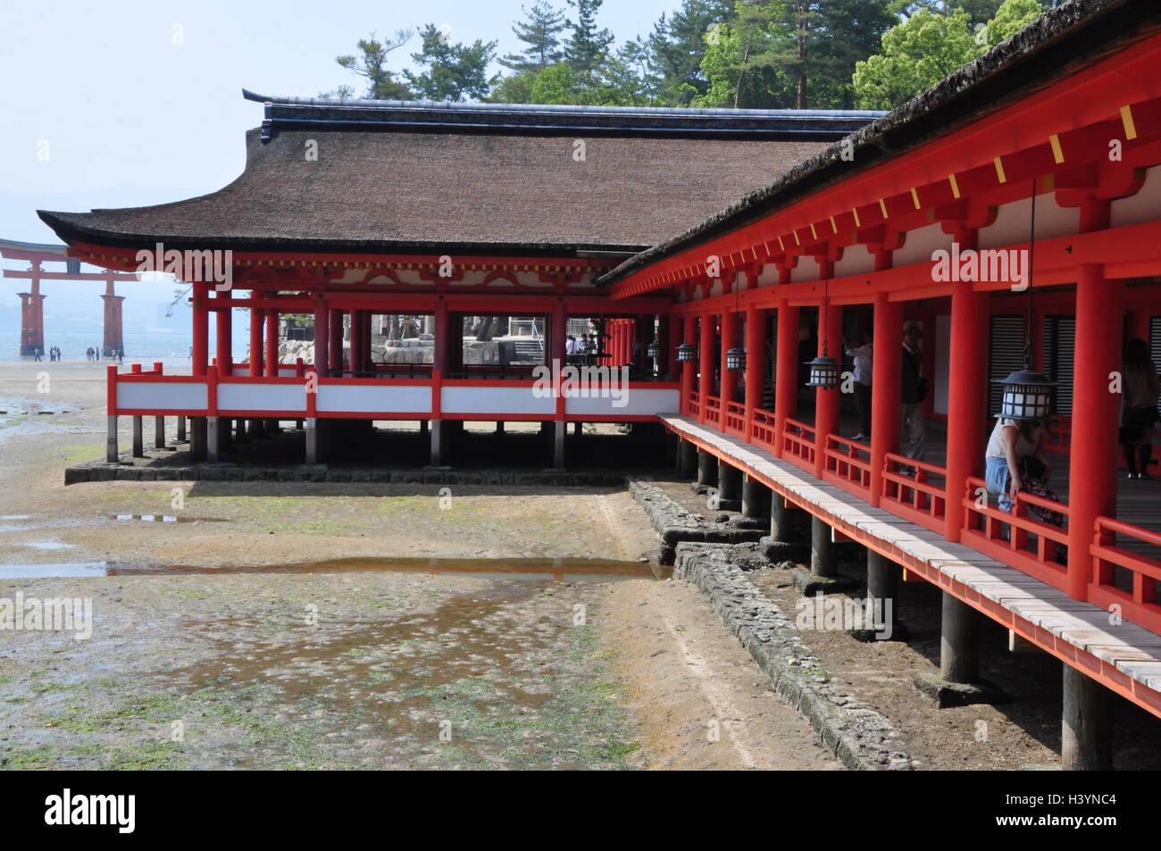 Itsukushima Shrine Japan Stock Photo - Alamy