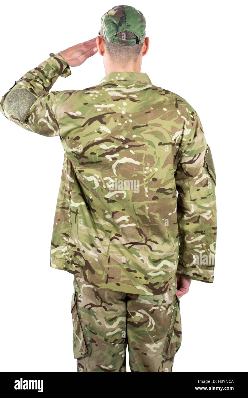 Rear view of soldier saluting Stock Photo - Alamy