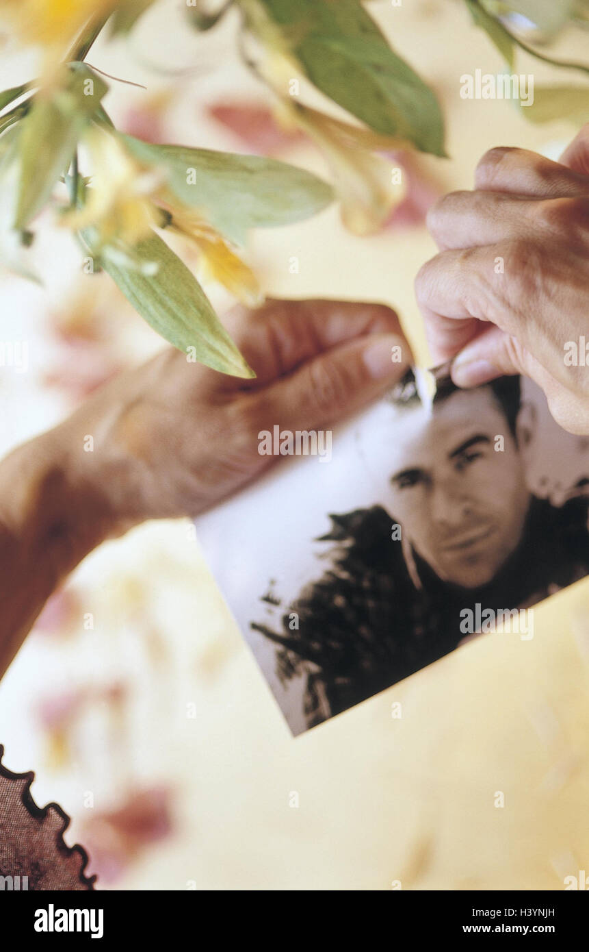 Women's hands, photo, tear inside, at home, woman, hands, flowers ...