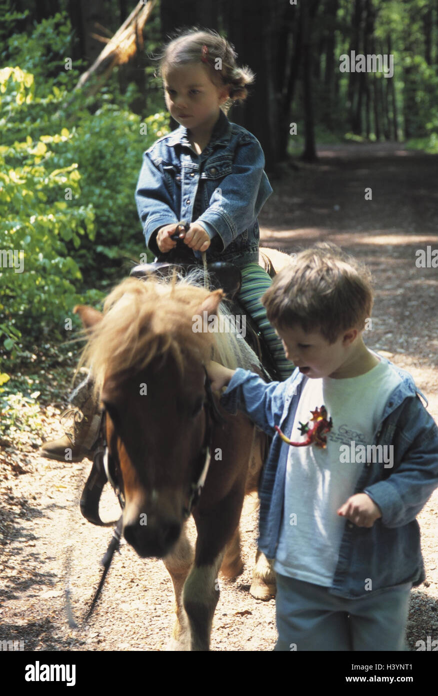 Forest way, children, pony, ride wood, way, boy, girl, friends ...