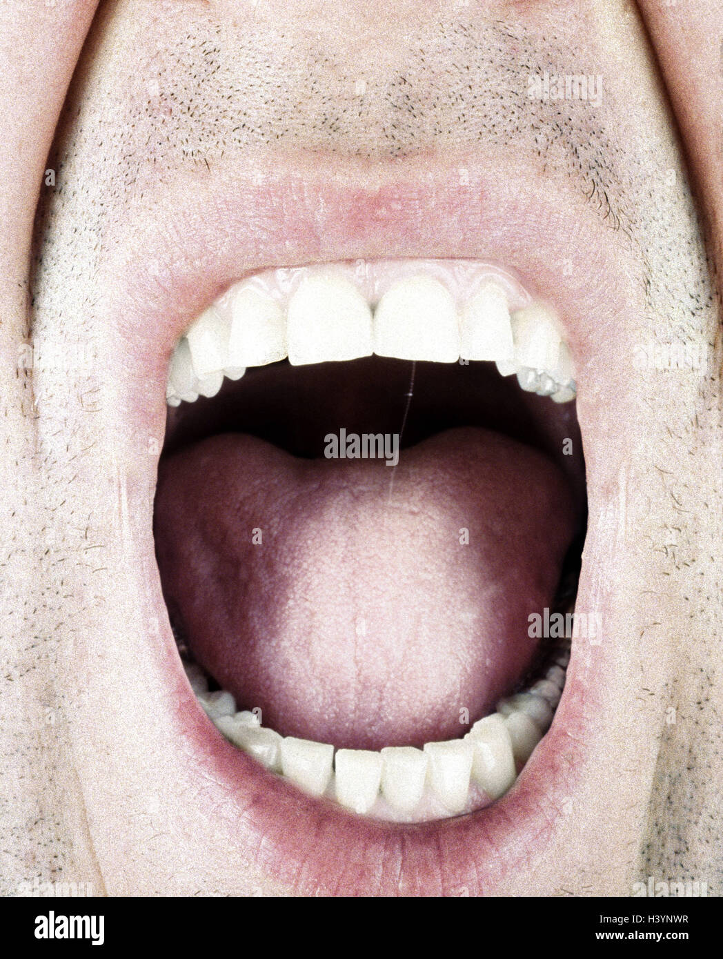 Man, mouth, facial play, shout, close up, model released, look, area ...