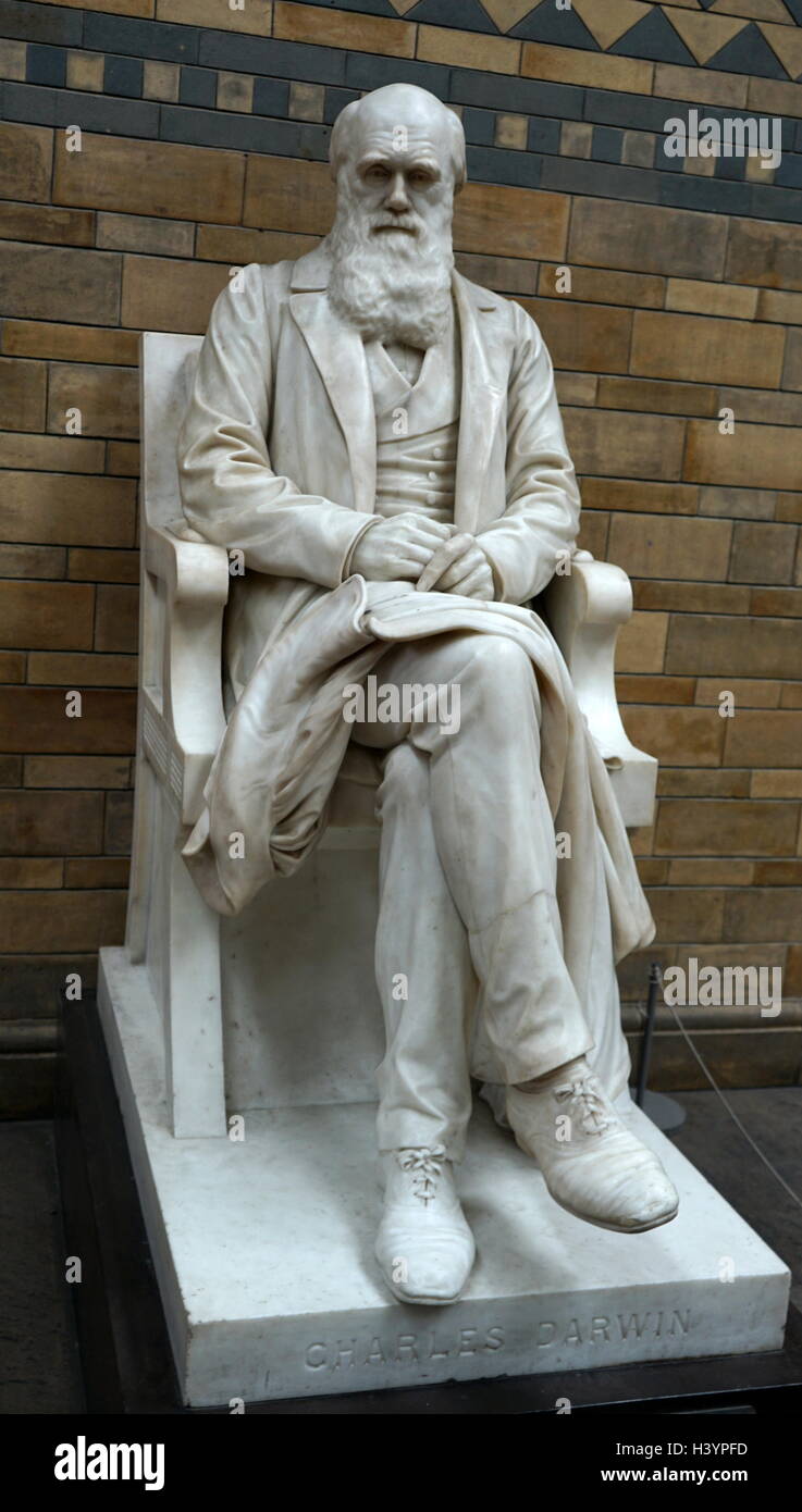 Charles darwin geology hi-res stock photography and images - Alamy