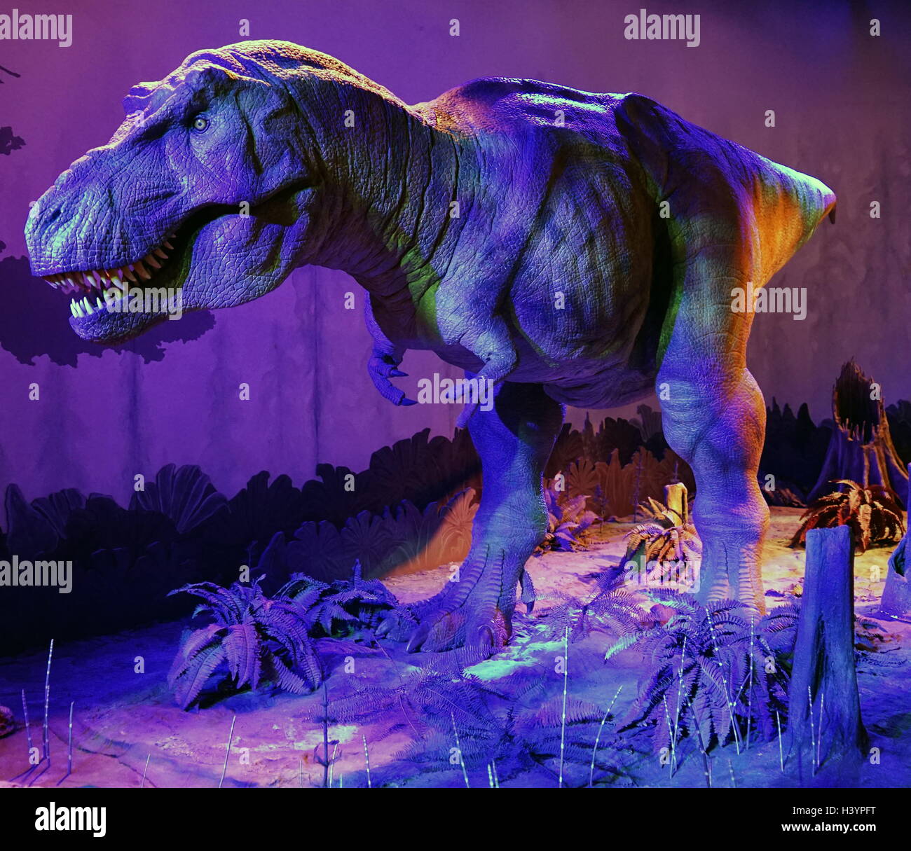 Animatronic Dinosaur (T-Rex). Animatronics refers to the use on robotic ...