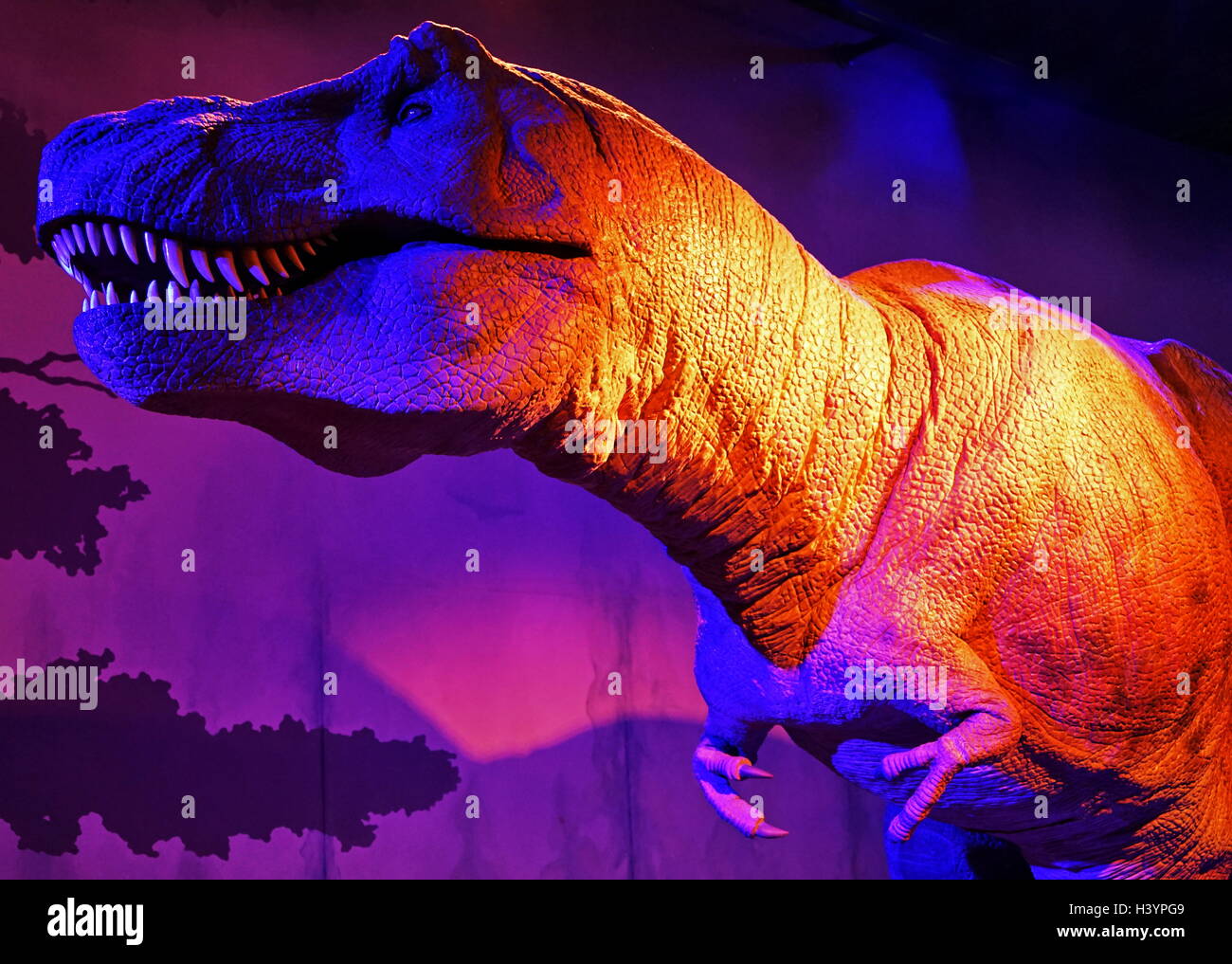 Animatronic Dinosaur (T-Rex). Animatronics refers to the use on robotic ...