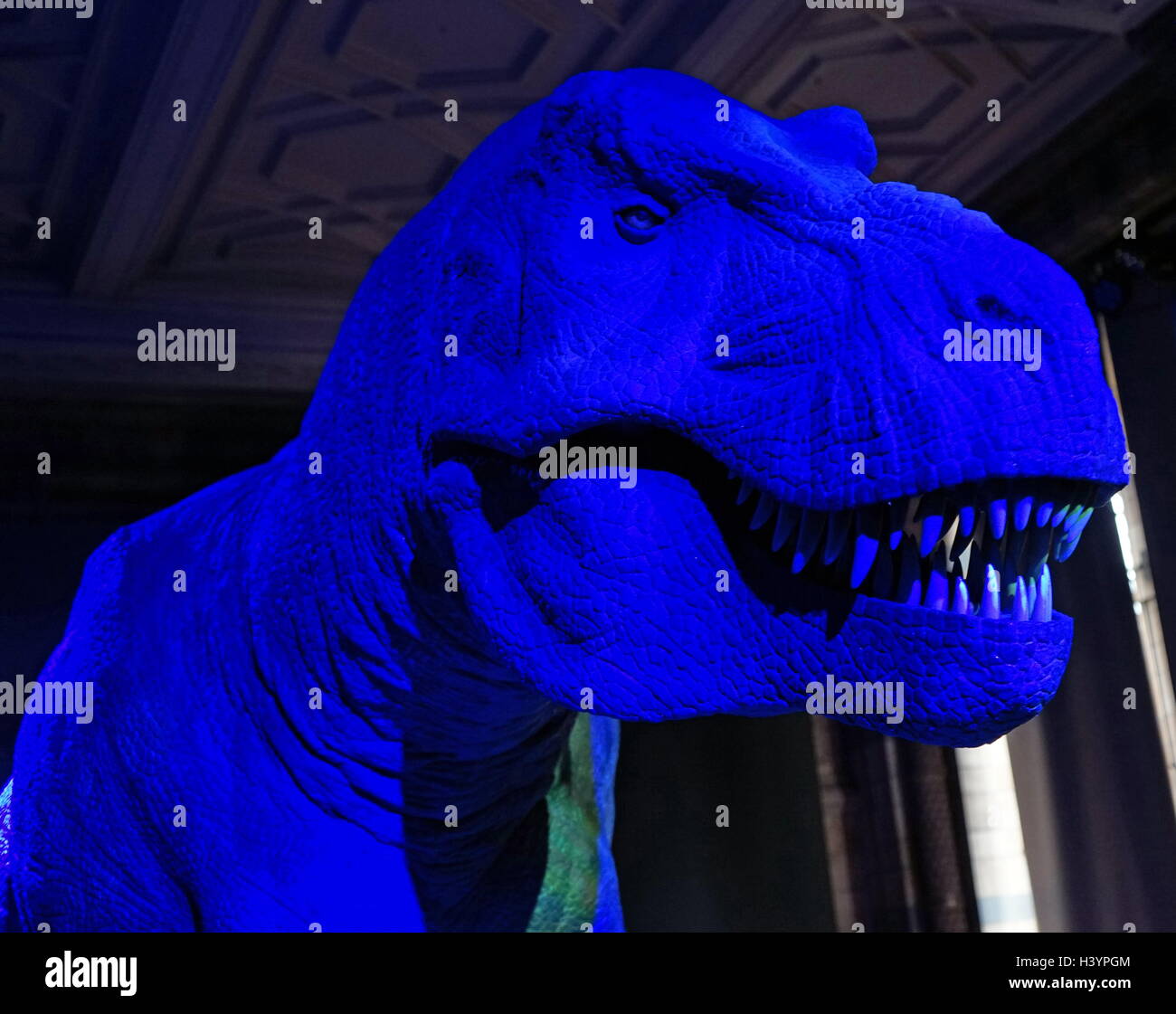 Animatronic Dinosaur (T-Rex). Animatronics refers to the use on robotic ...