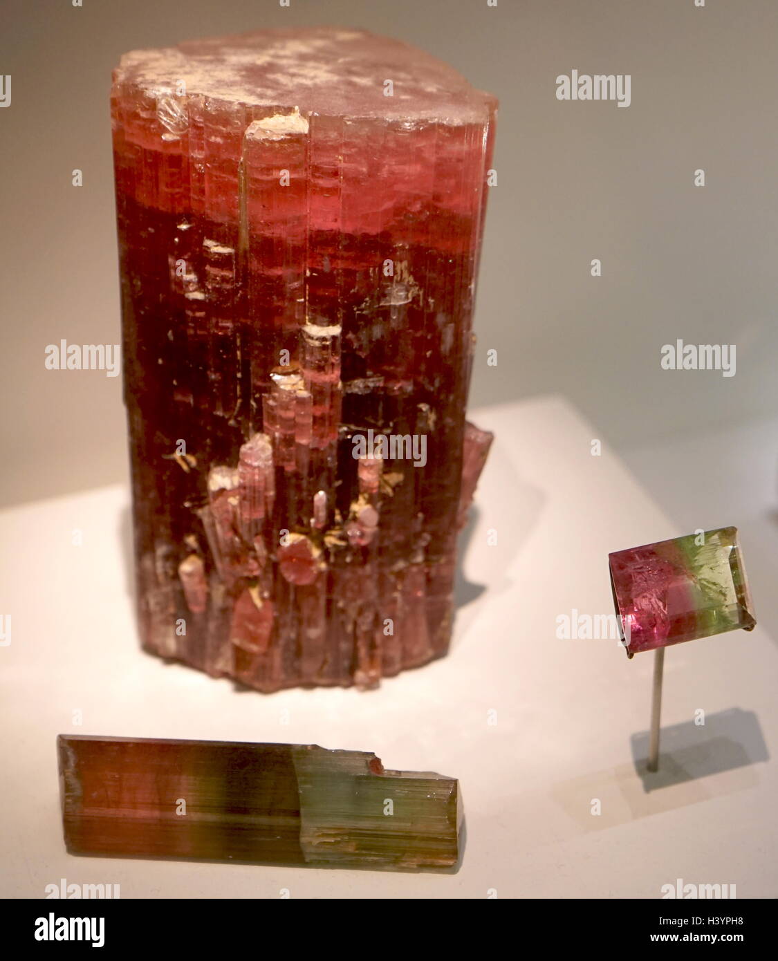 Watermelon history hi-res stock photography and images - Alamy