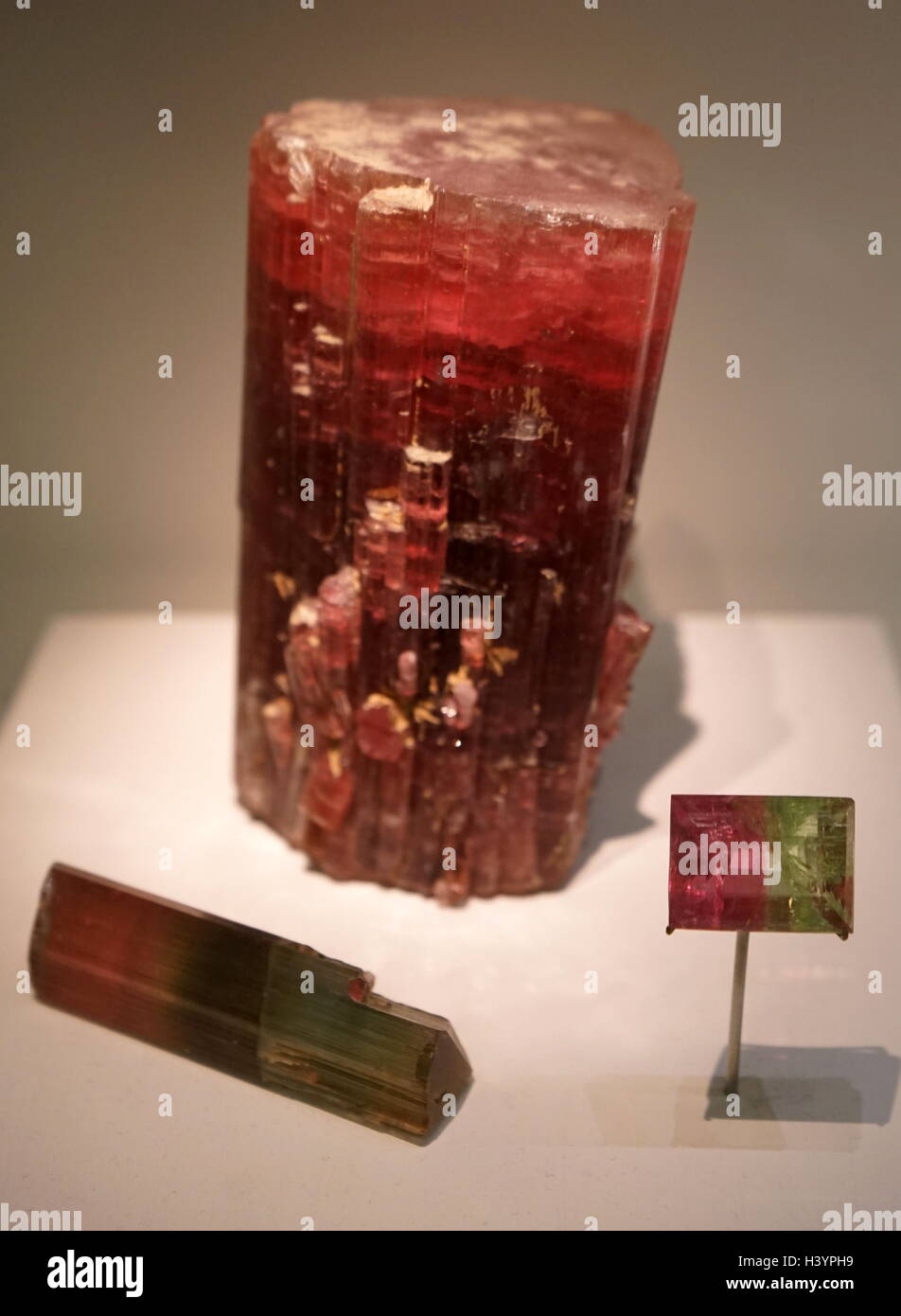 Samples hi-res stock photography and images - Alamy