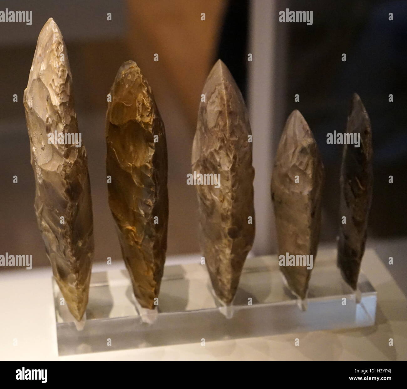 Late Neolithic axe heads 3000-2000 BC, Found at Great Baddow, England ...