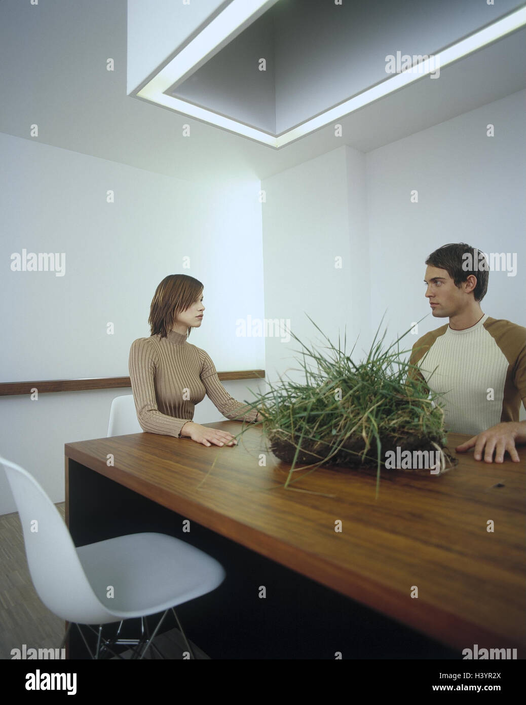 Conference room, couple, table, hold hands, eye contact, grass inside ...