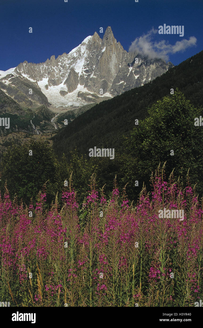 Nightmare Range High Resolution Stock Photography and Images - Alamy