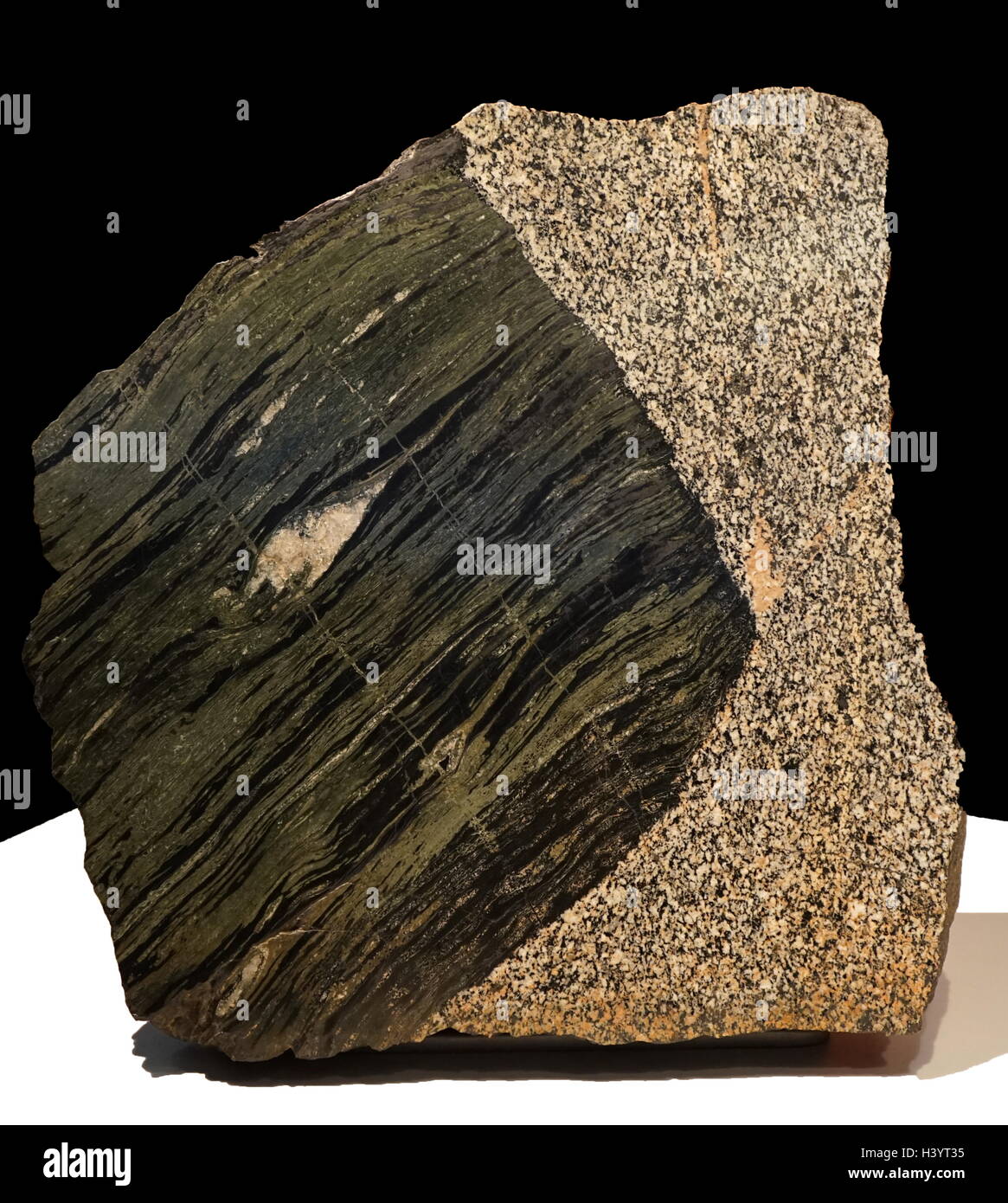 Sample of Granite with xenolith inclusions. Dated 21st Century Stock ...