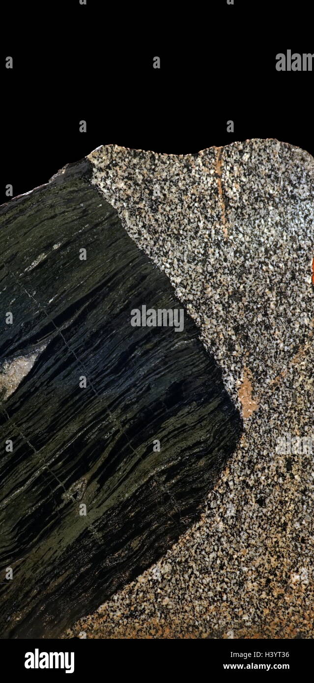 Sample of Granite with xenolith inclusions. Dated 21st Century Stock ...