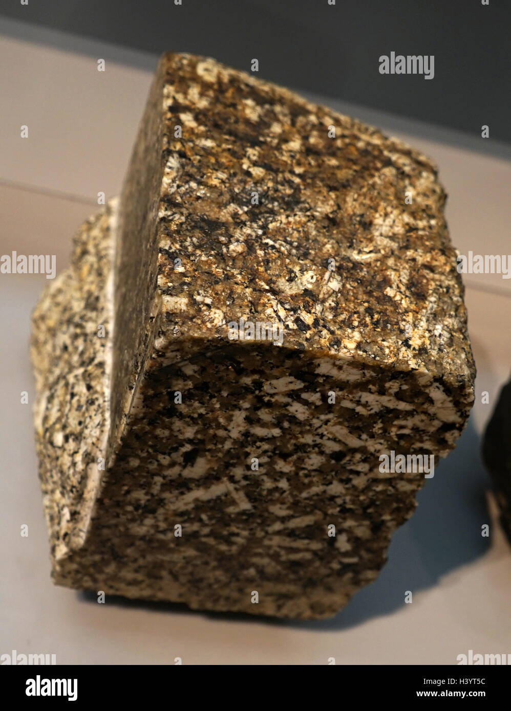 Sample of Granite with xenolith inclusions. Dated 21st Century Stock ...