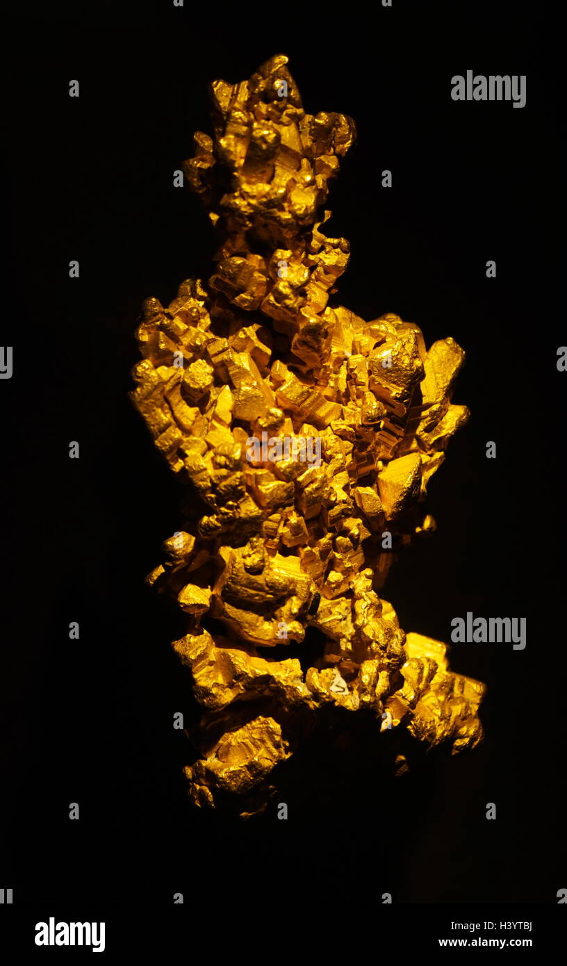 The Latrobe nugget, the largest clusters of cubic gold crystals ...