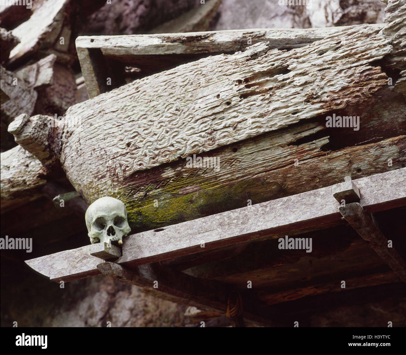 Scary Dead People In Coffins