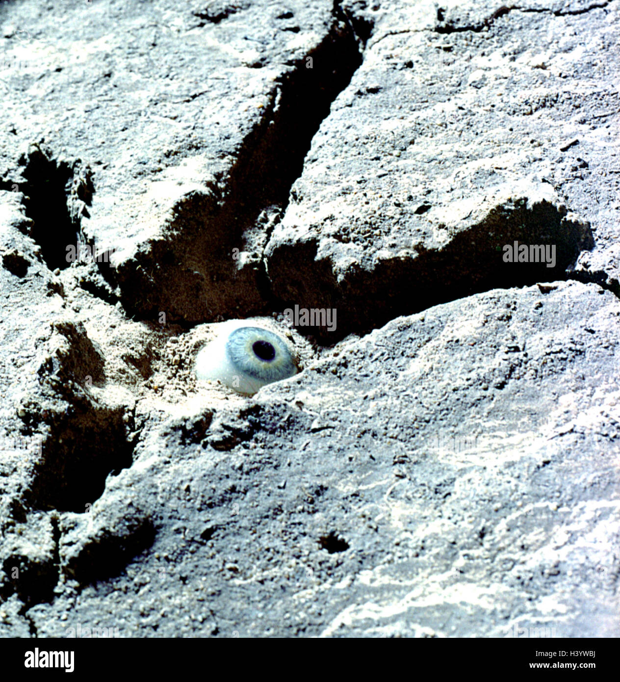 Impression, crow foot, human eye, icon, saying, "A crow hoes up other ...