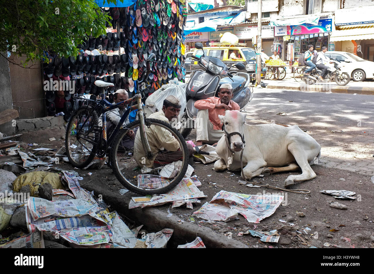 men sit in street with a sacred cow in dharavi district. Street scenes ...