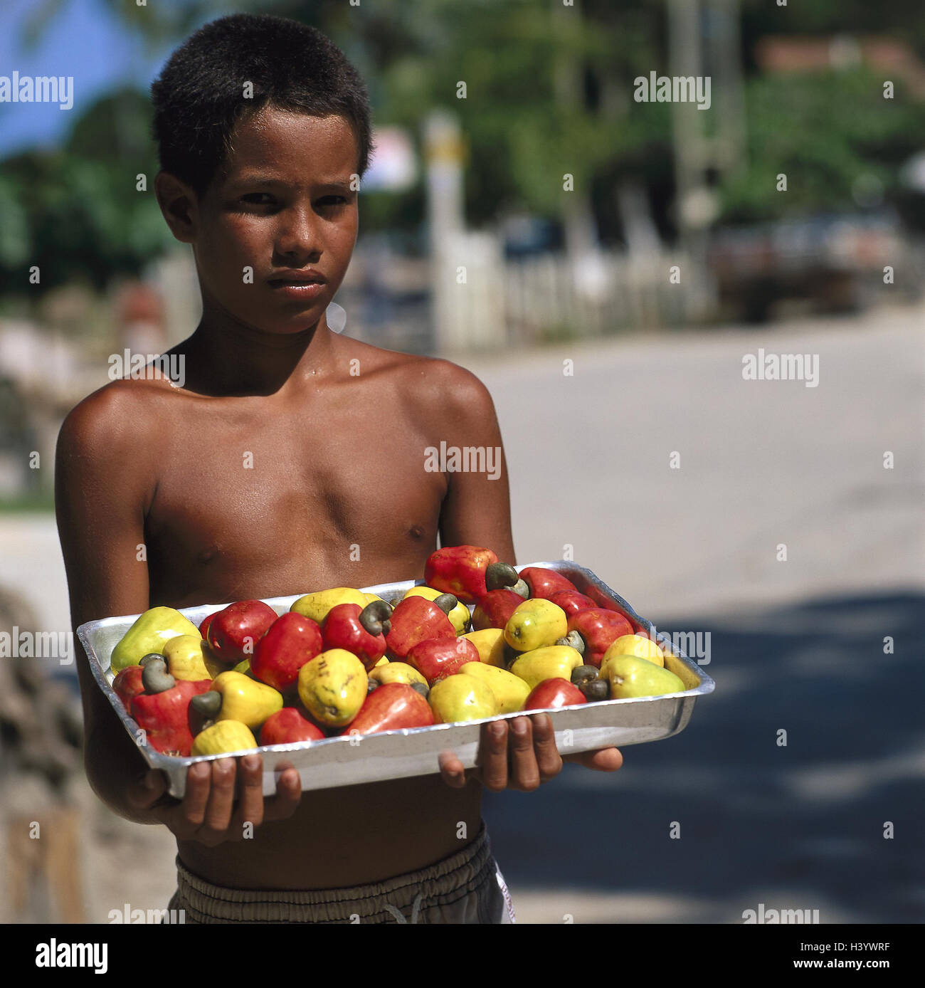 Caju brazil hi-res stock photography and images - Alamy