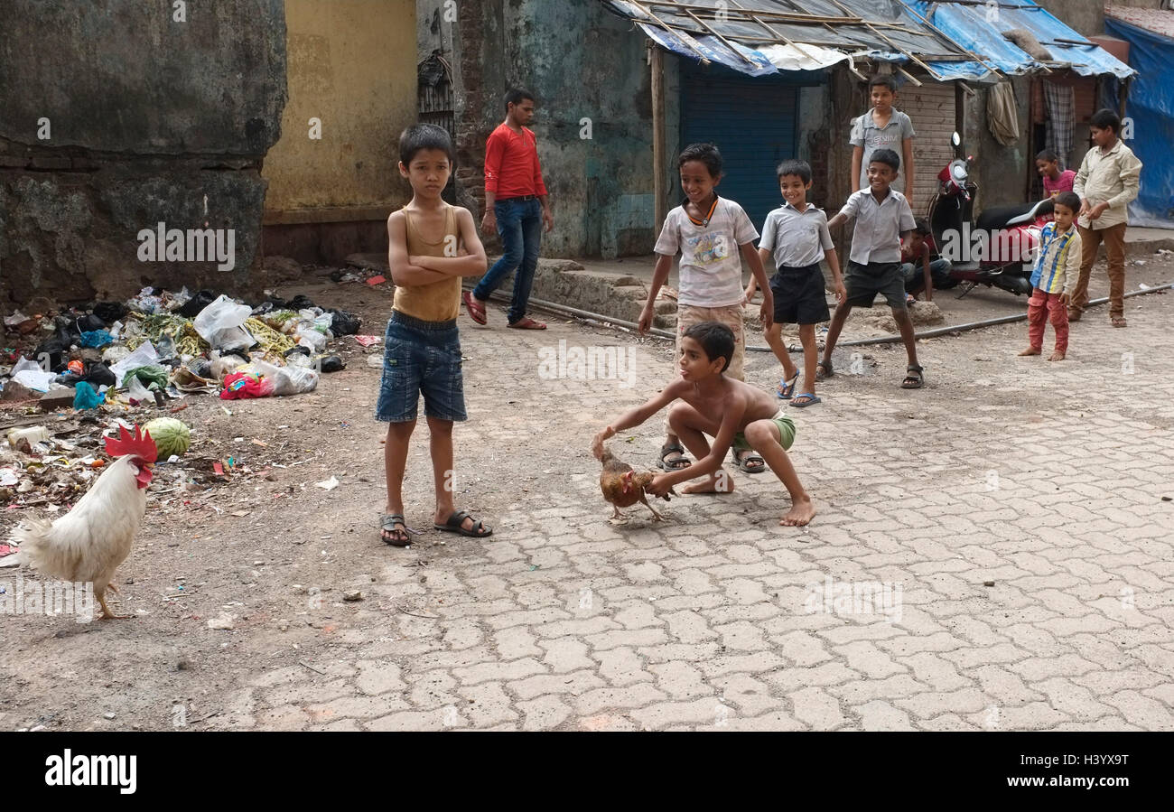 street kids play with poultry and chickens in Dharavi slum. Street ...