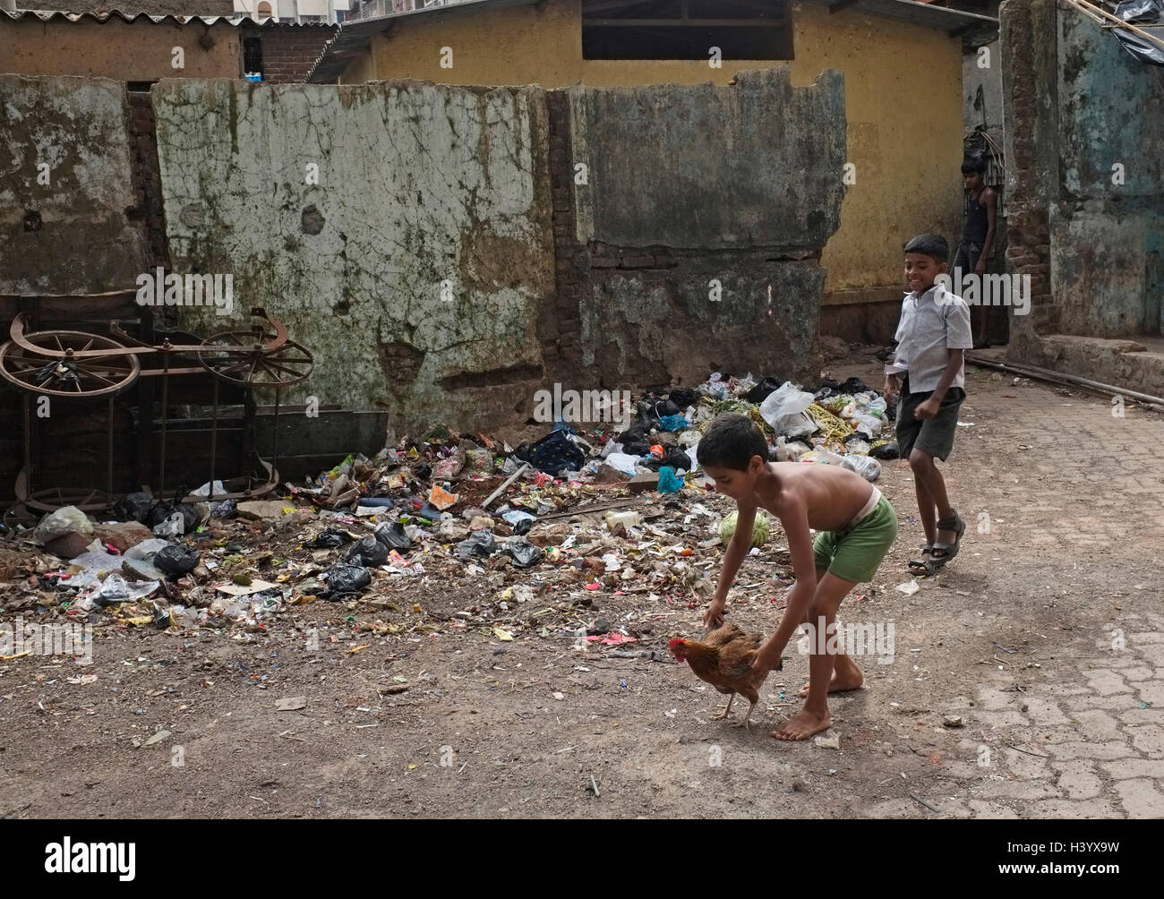 street kids play with poultry and chickens in Dharavi slum. Street ...