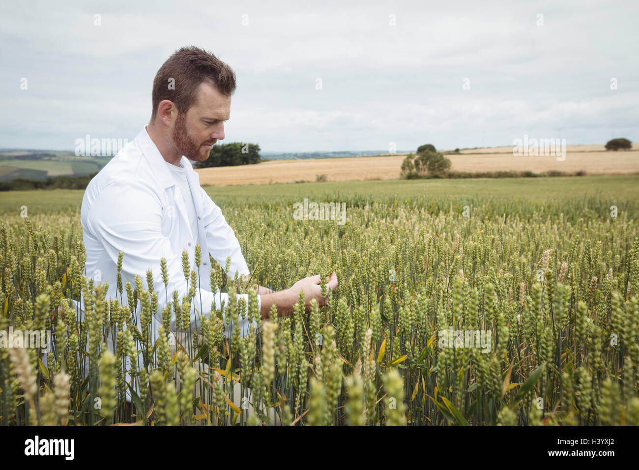 Agronomist hi-res stock photography and images - Alamy