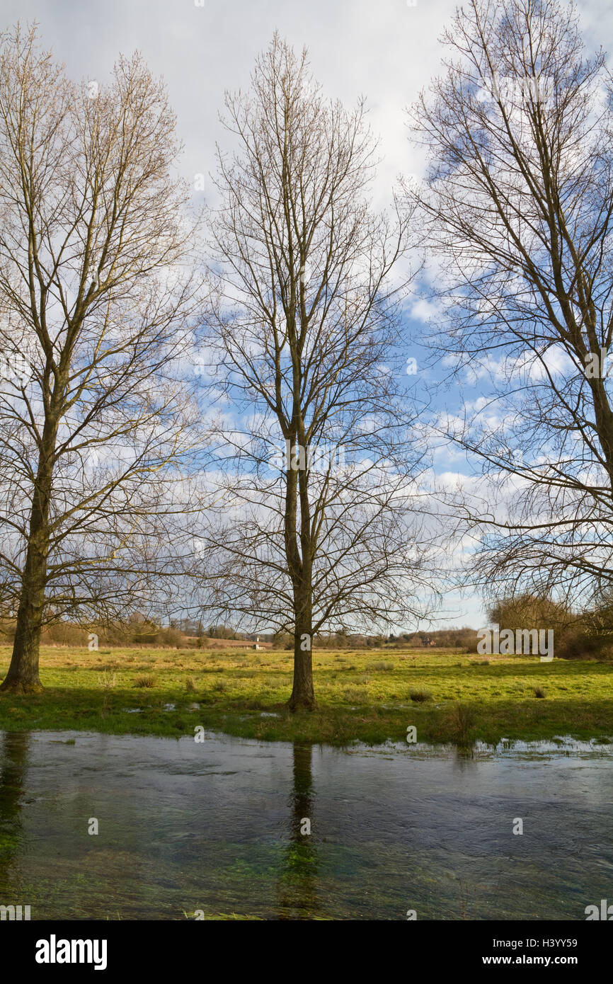 Chalk stream england hi-res stock photography and images - Alamy