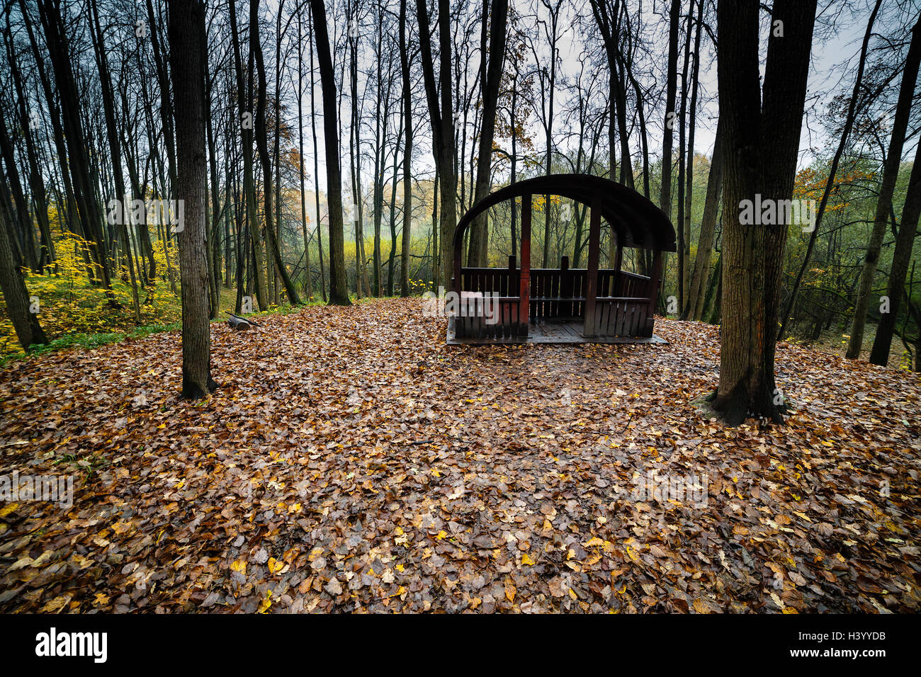 Wooden arbor in the forest park in an fall season Stock Photo - Alamy