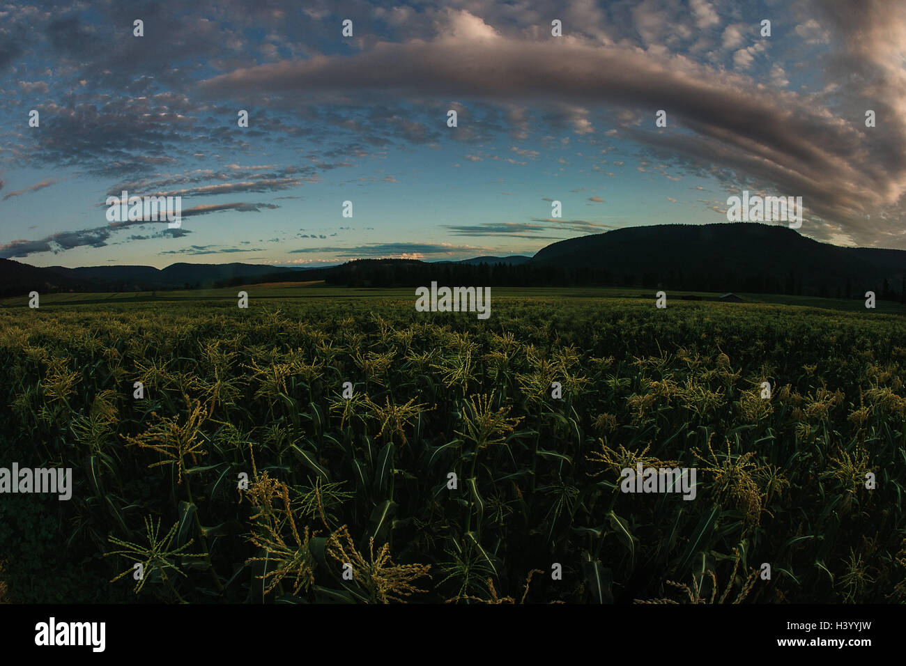 Farming in british columbia hi-res stock photography and images - Alamy