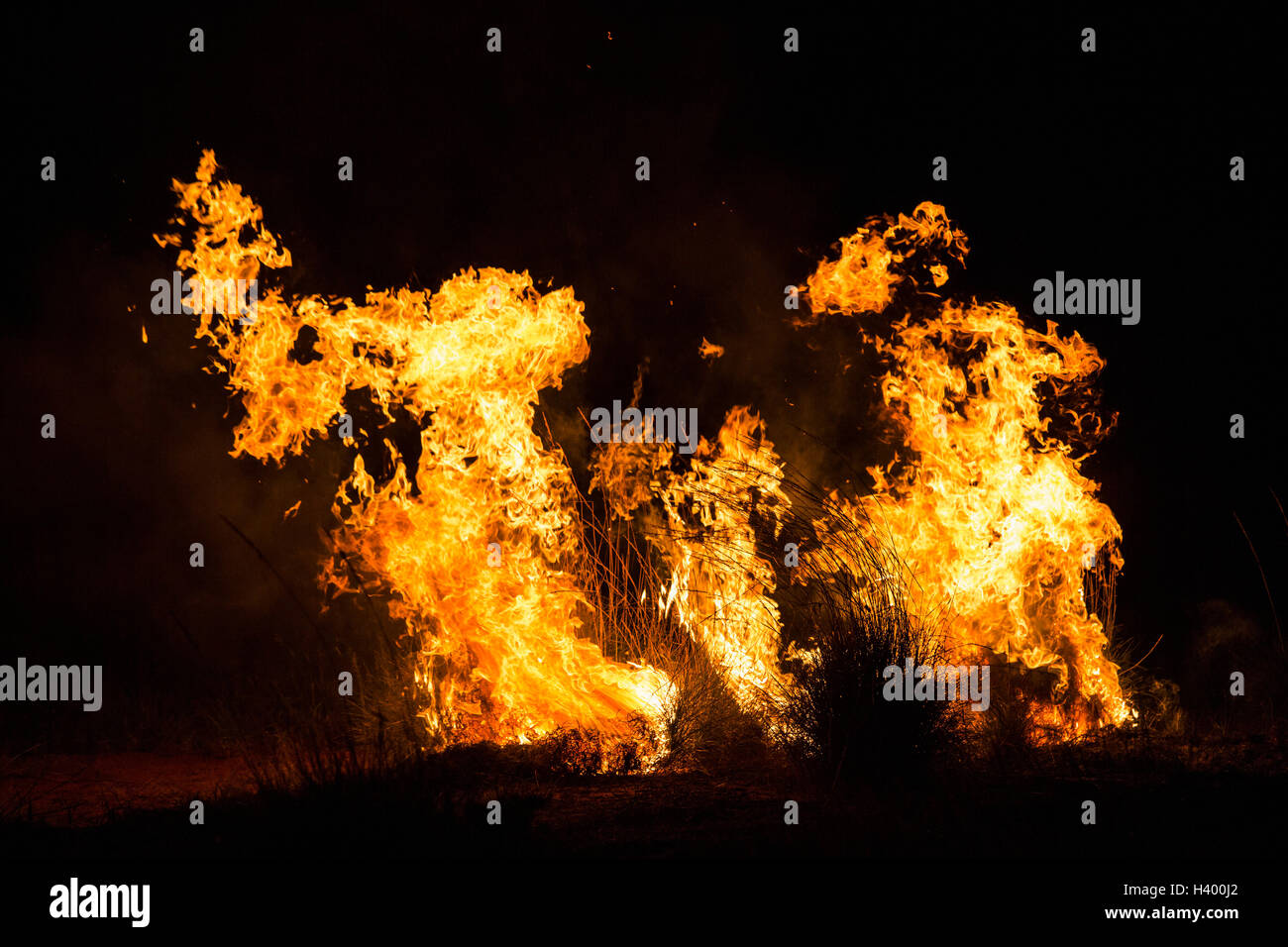 Fire field hi-res stock photography and images - Alamy