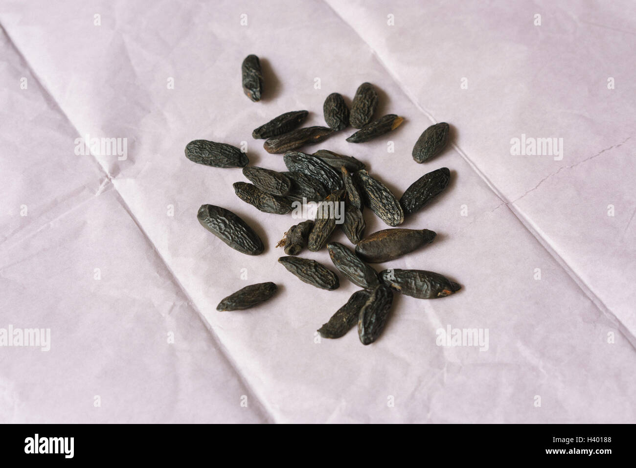 Close-up of tonka beans on paper Stock Photo - Alamy