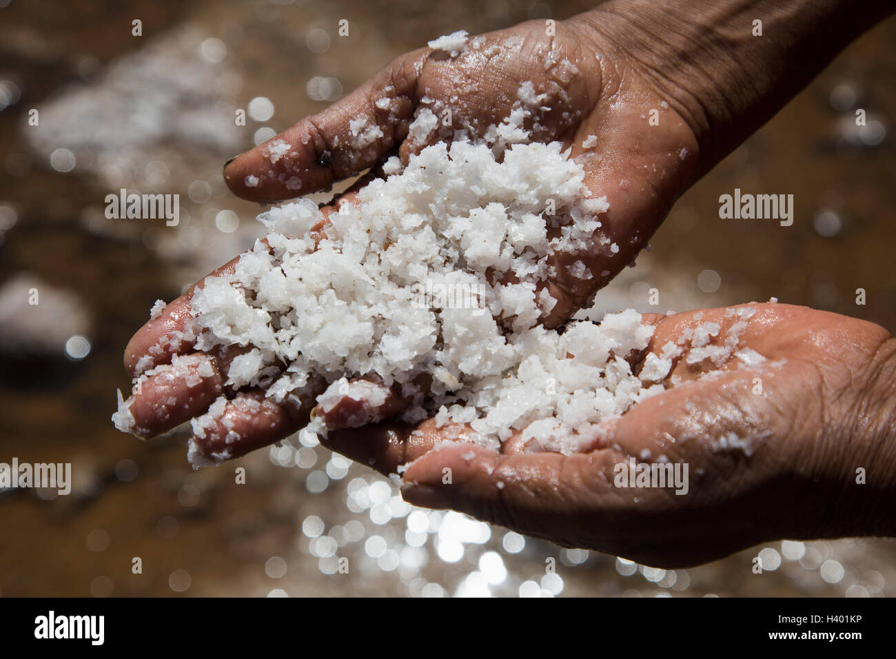 Cropped image of hand holding natural salt Stock Photo - Alamy