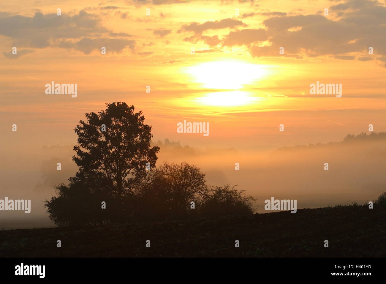 Rural sun hi-res stock photography and images - Alamy