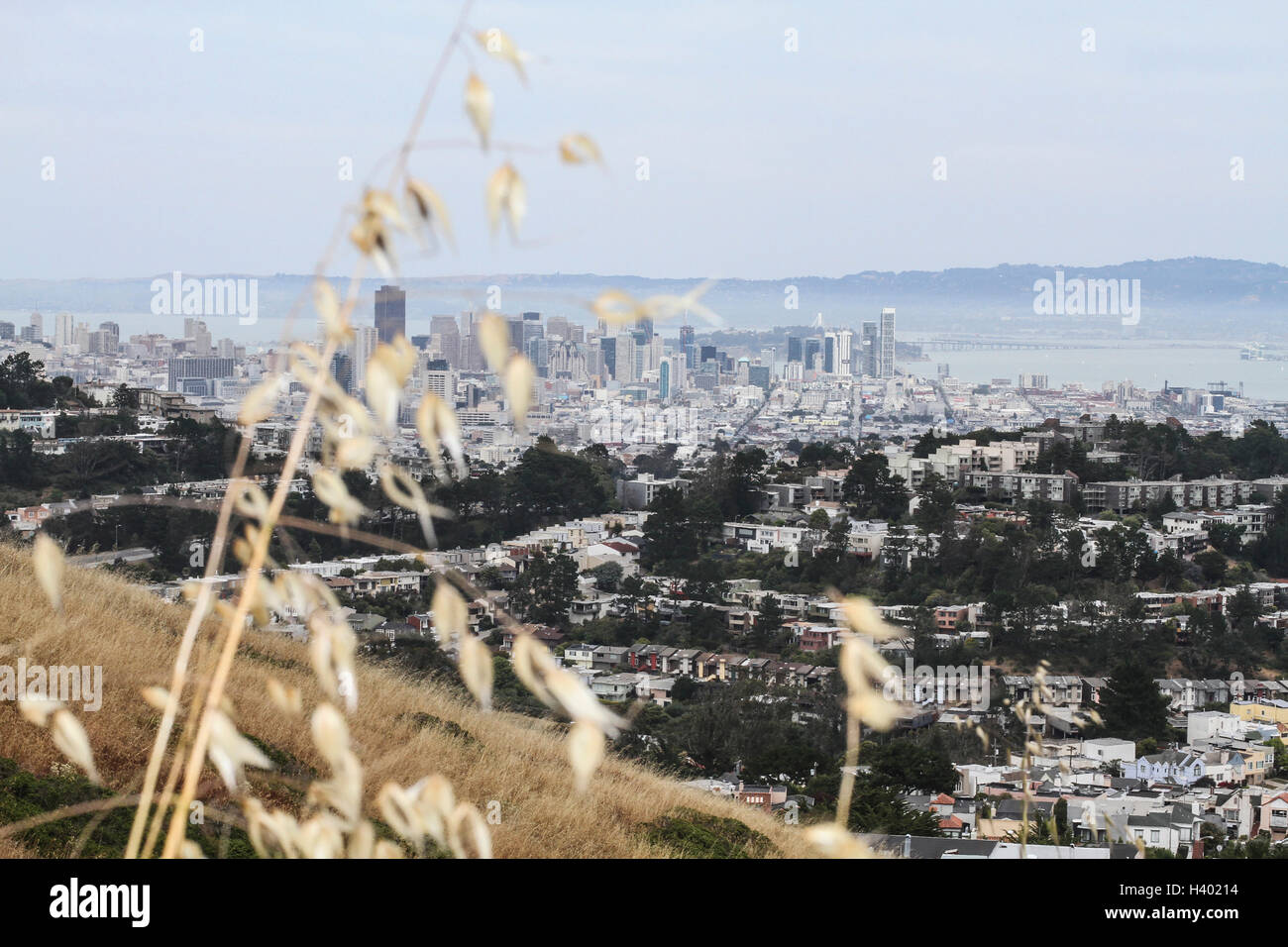 Mount davidson san francisco hi-res stock photography and images - Alamy