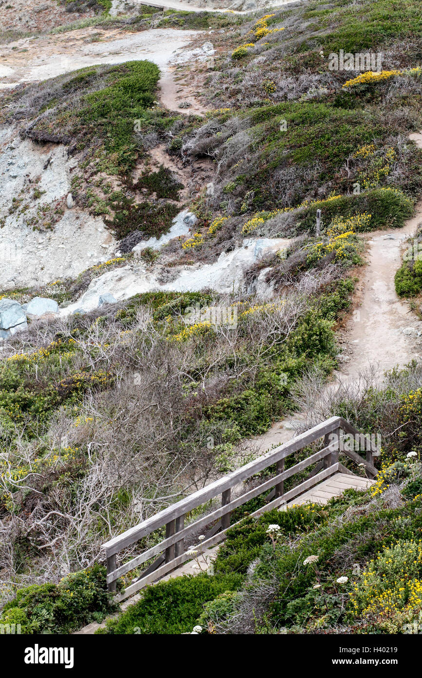 High angle view of wooden steps and pathway leading down hill Stock ...