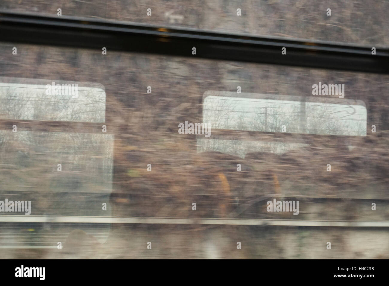 Full frame shot of trees reflecting on train window Stock Photo - Alamy