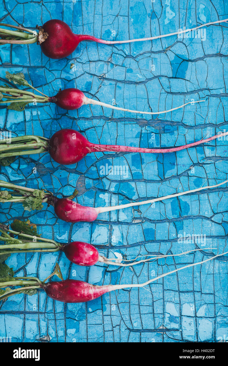 Directly above shot of red radishes arranged on blue wooden table Stock ...