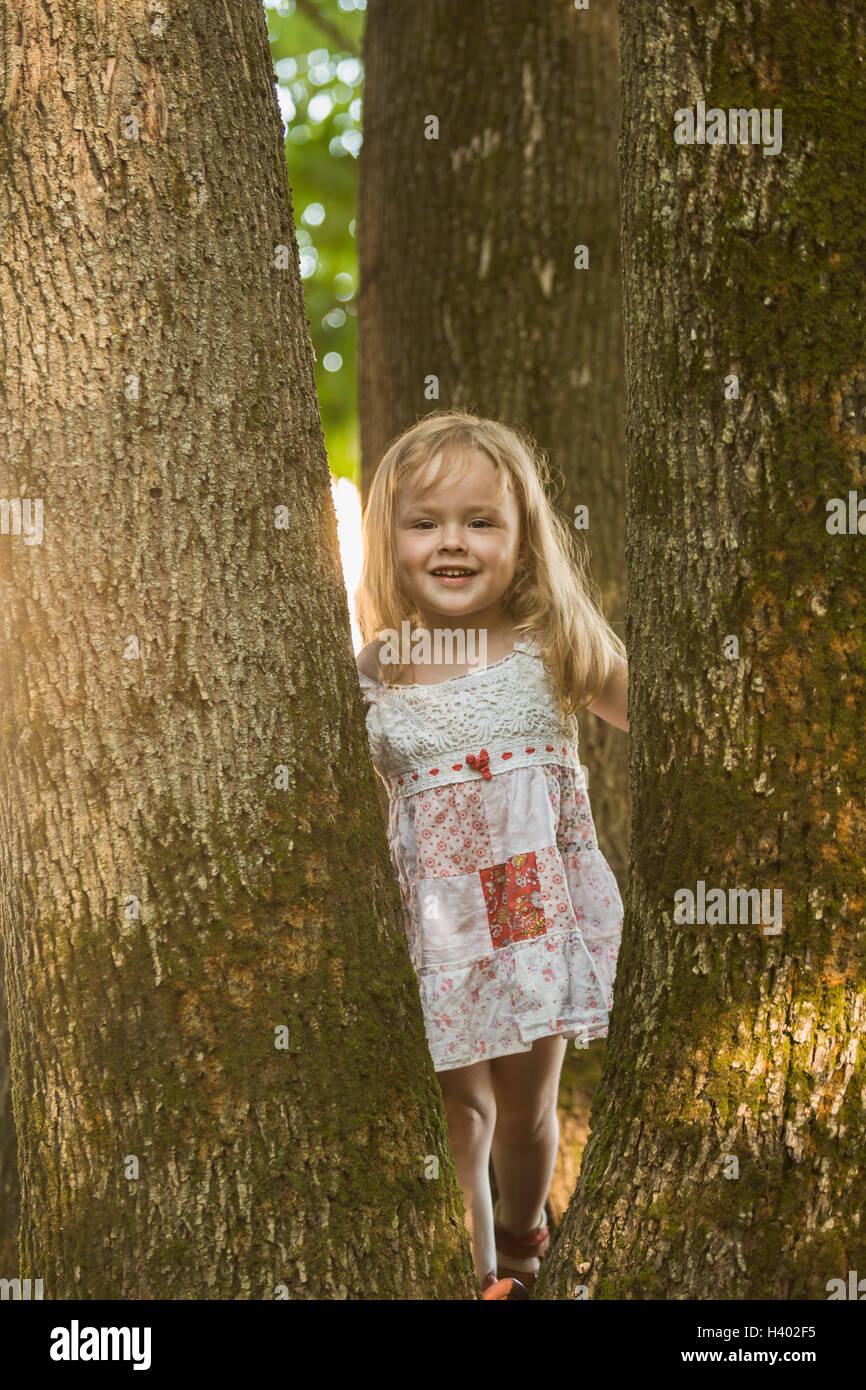 Portrait image of trees hi-res stock photography and images - Alamy