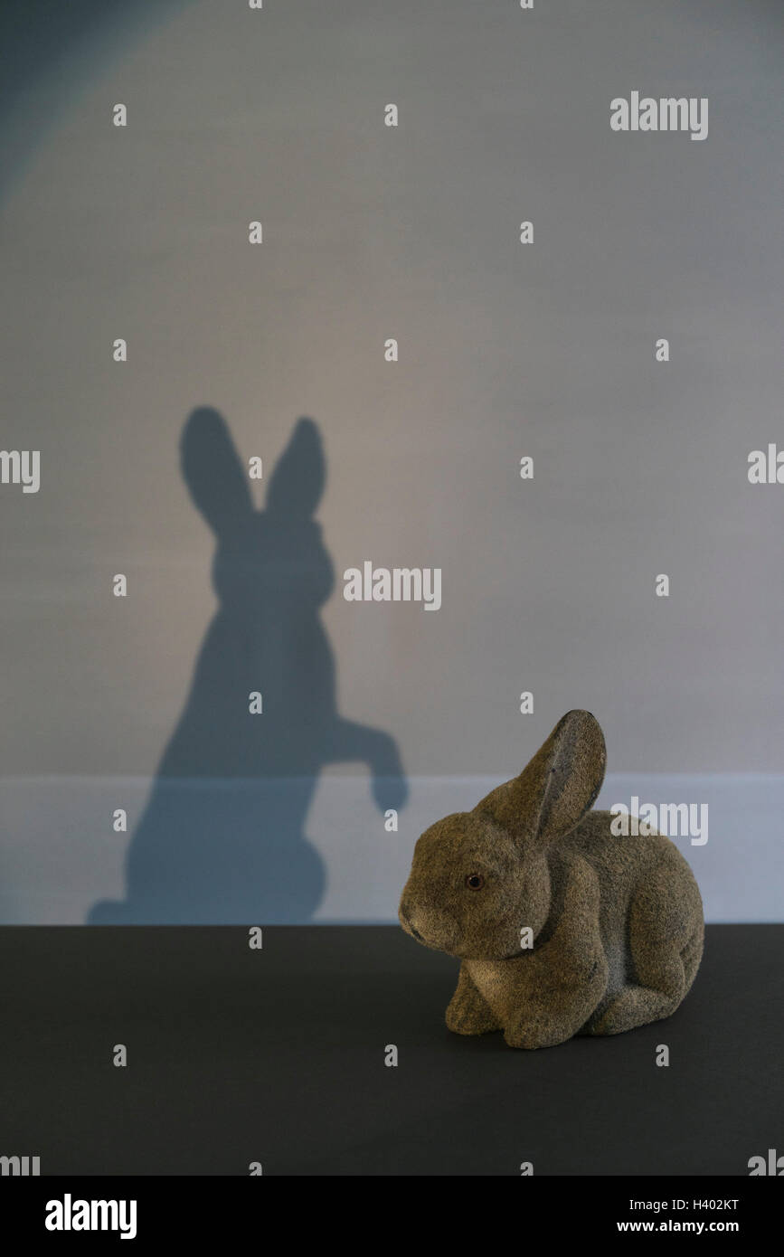 Shadow rabbit hi-res stock photography and images - Alamy