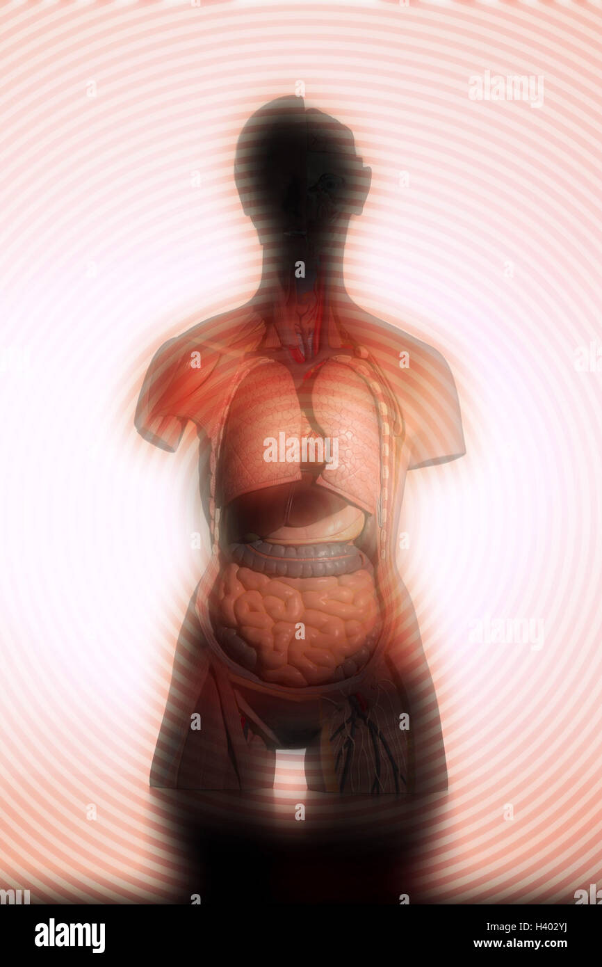 Composing, teaching model, human body, bodies, icon, pain medicine ...