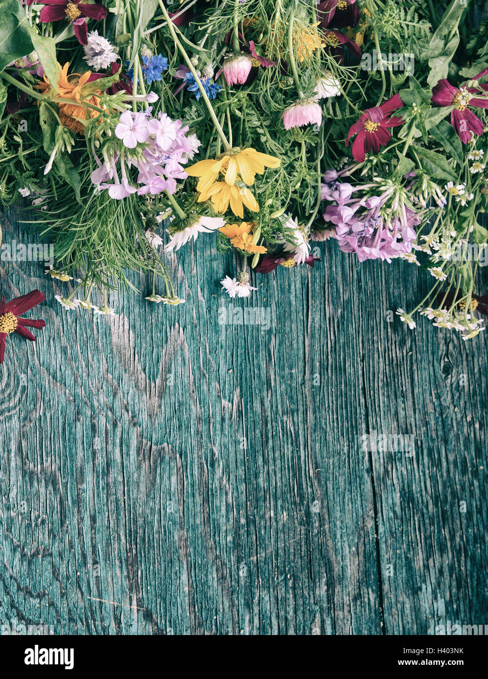 Summer flowers mock up Stock Photo - Alamy