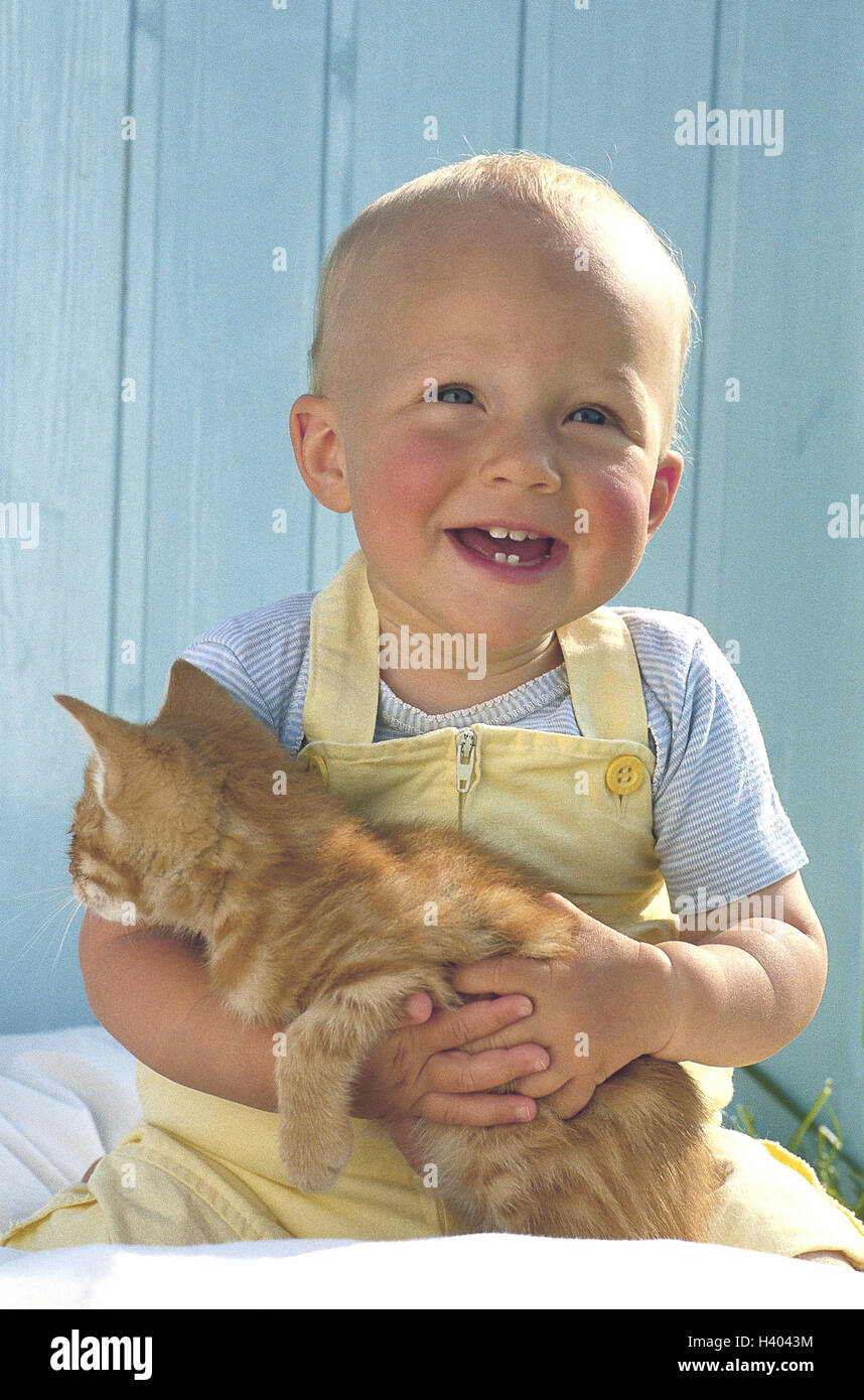Cat experience hi-res stock photography and images - Alamy