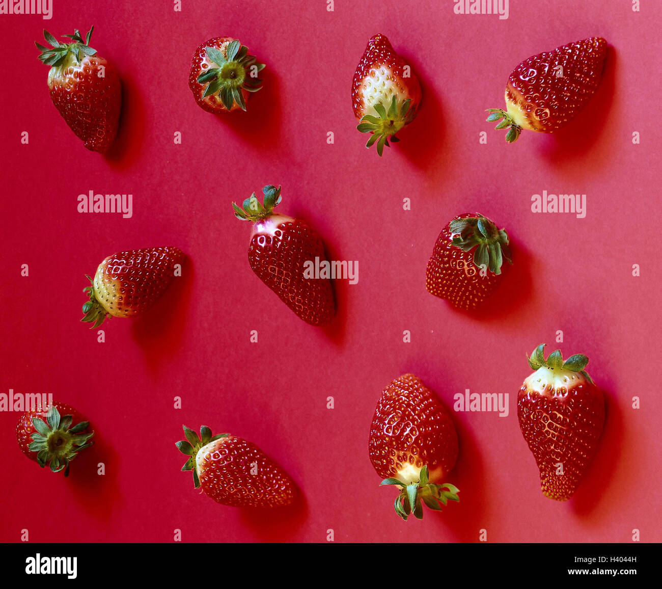 Strawberries, Fragaria spec., fruits, fruit, red Stock Photo - Alamy