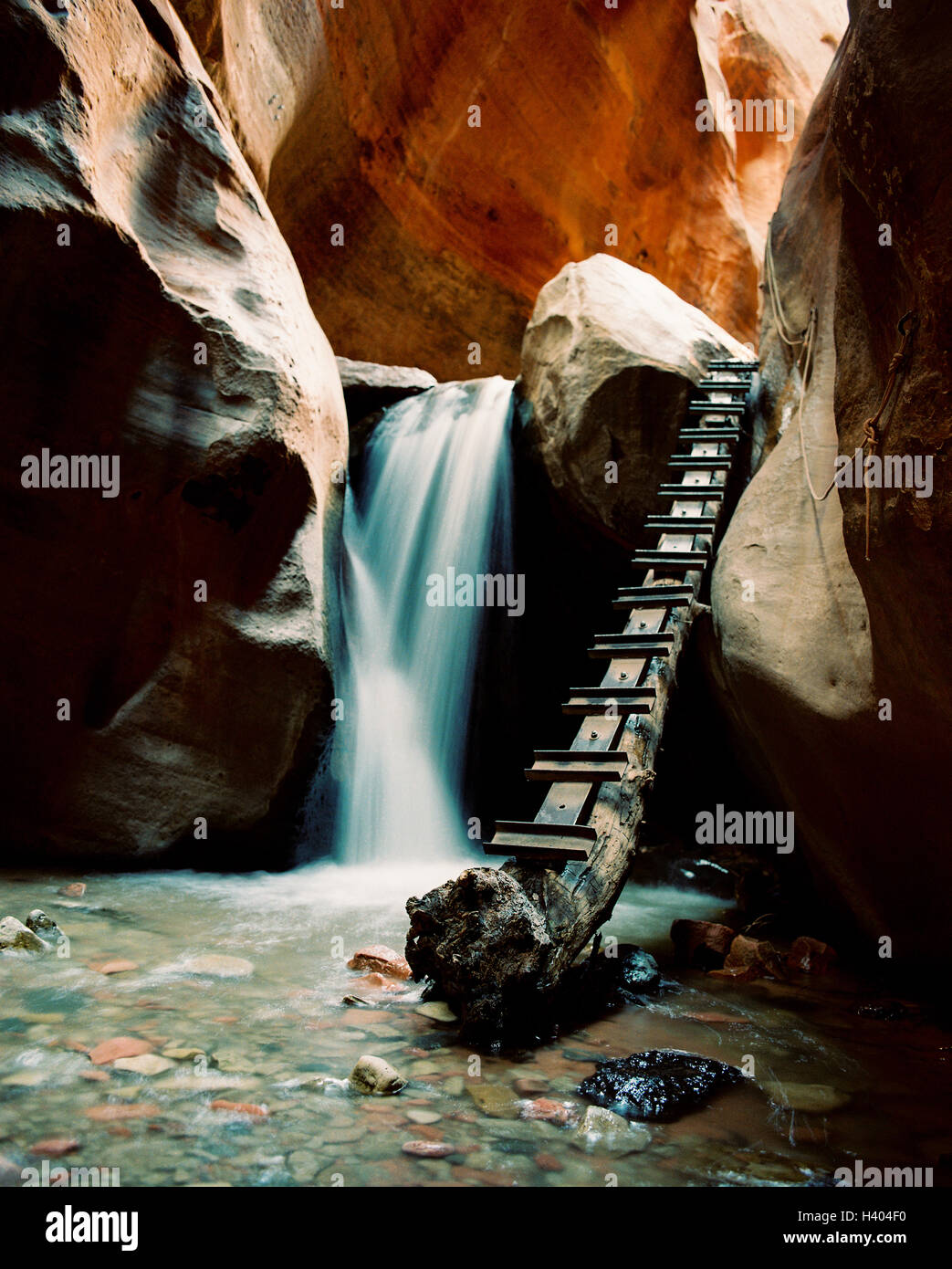 Ladder into slot canyons, Zion national park, Utah, United States Stock ...