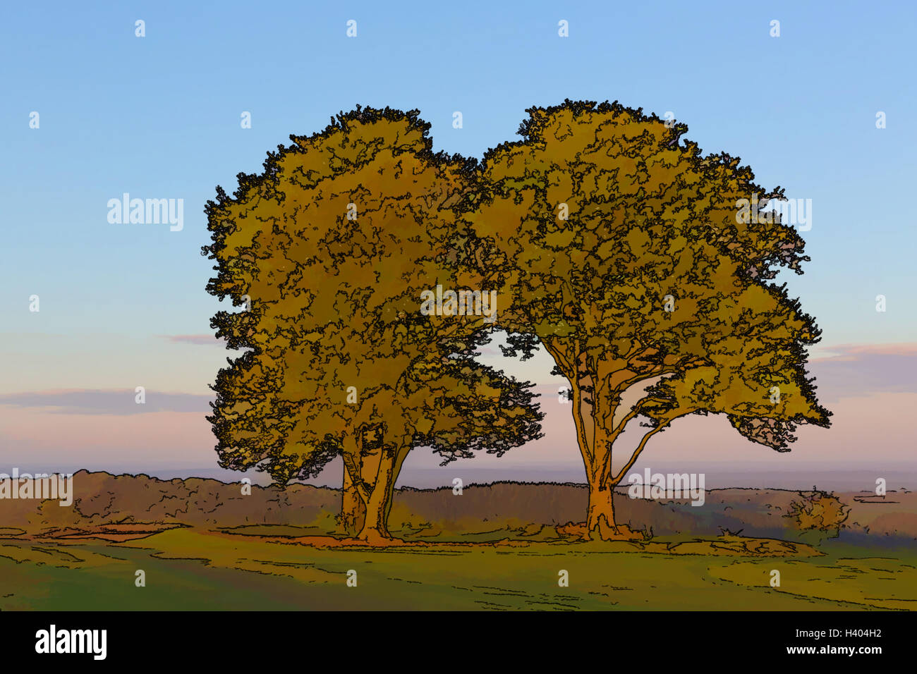 Two trees together on the top of a hill illustration Stock Photo - Alamy