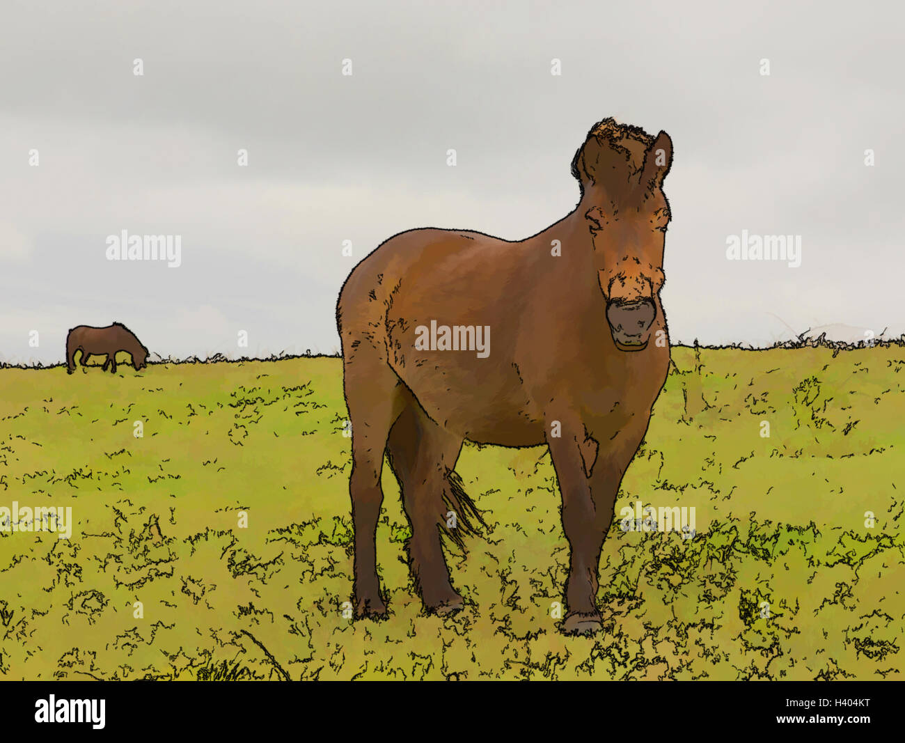Pony cartoon hi-res stock photography and images - Alamy