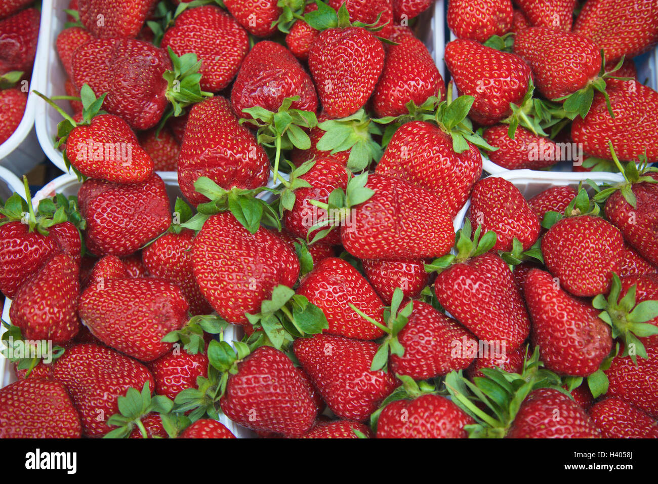 Punnets hi-res stock photography and images - Alamy