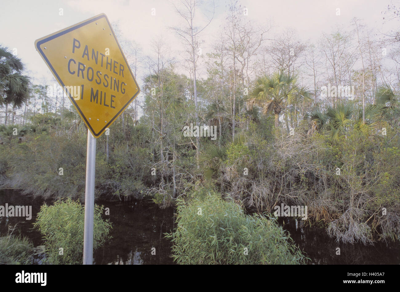 The USA, Florida, Everglades, sign "Panthera crossing", America, east ...