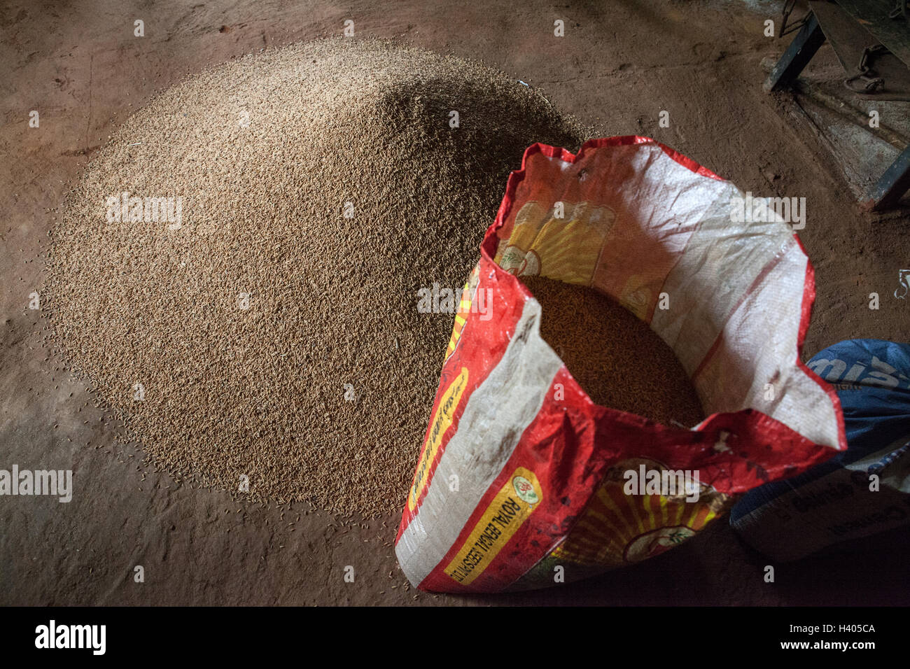 Rice storage in Jharkhand, India Stock Photo - Alamy